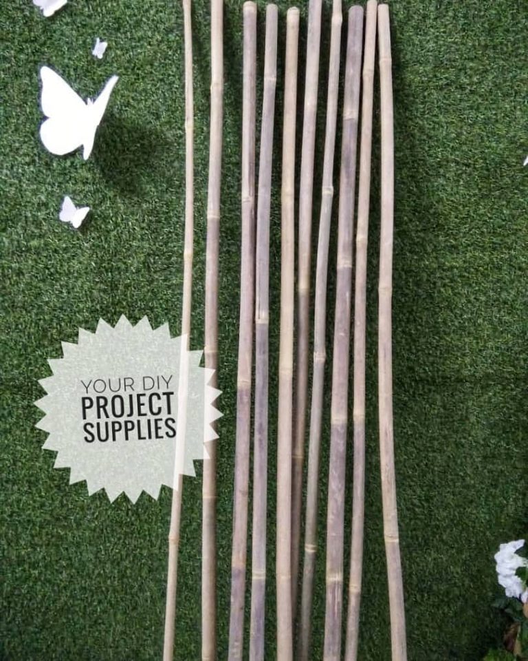 Batang buluh tinggi sewa – Your DIY Project Rental