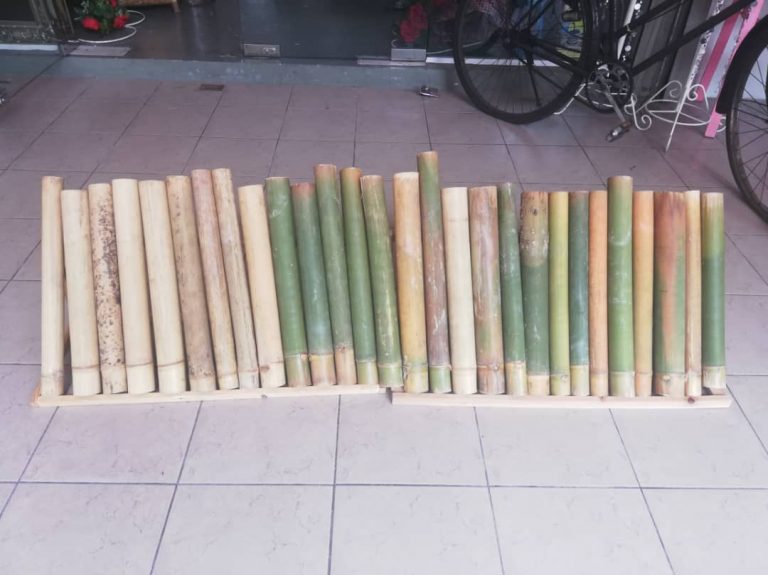 Batang buluh lemang sewa – Your DIY Project Rental