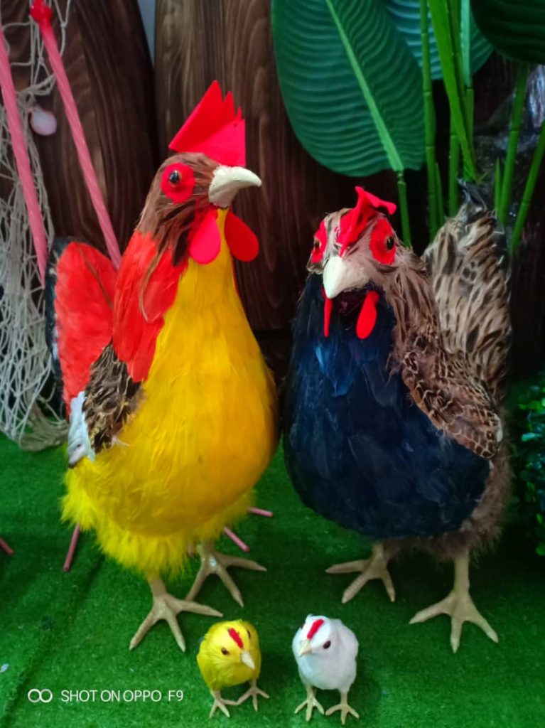 Ayam dewasa palsu / fake roster @ hen [rental] – Your DIY Project Rental