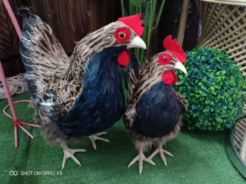 Ayam palsu / Fake chicken (hen) – Your DIY Project Rental