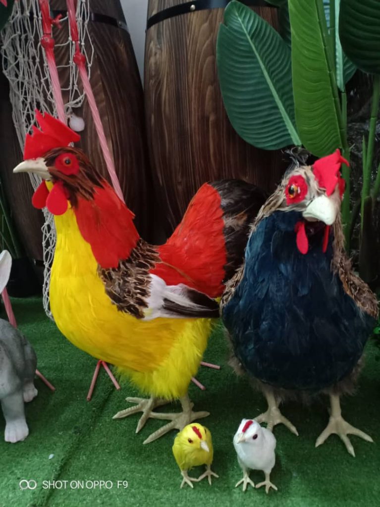 Ayam dewasa palsu / fake roster @ hen [rental] – Your DIY Project Rental