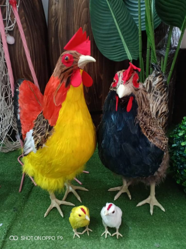 Anak ayam [rental] – Your DIY Project Rental