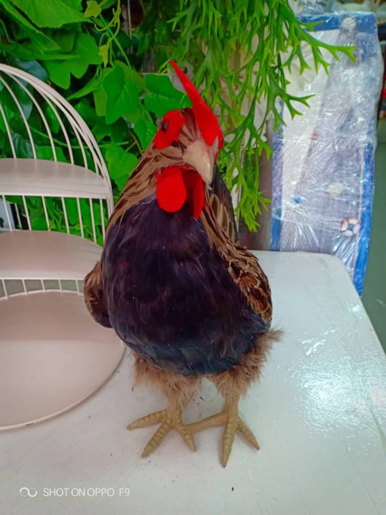 Ayam palsu / Fake chicken (hen) – Your DIY Project Rental