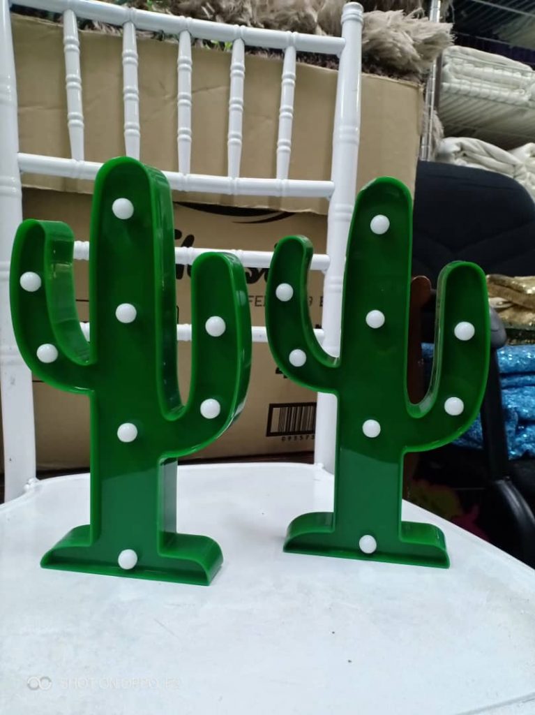 lighted cactus led [rental] – Your DIY Project Rental