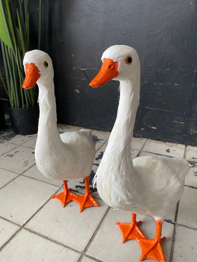 Angsa palsu / goose [rental] – Your DIY Project Rental