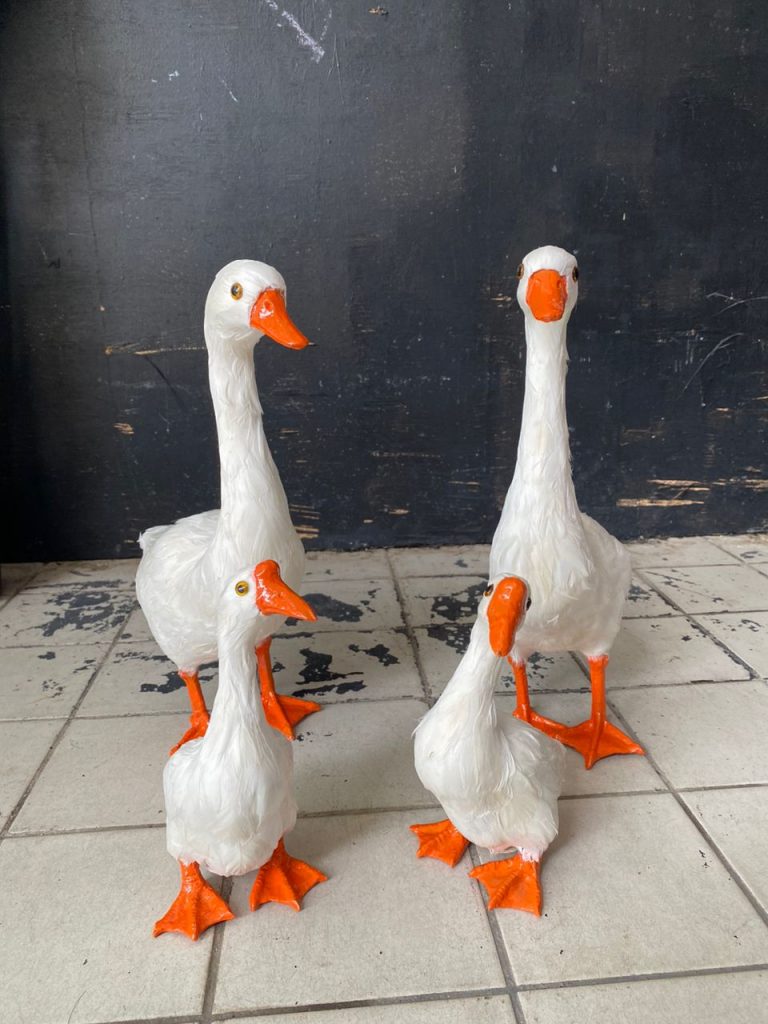 Angsa palsu / goose [rental] – Your DIY Project Rental