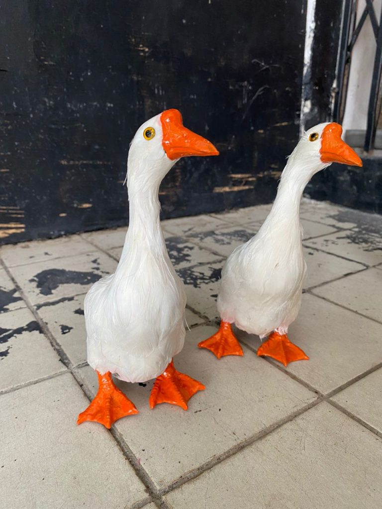 Angsa palsu / goose [rental] – Your DIY Project Rental